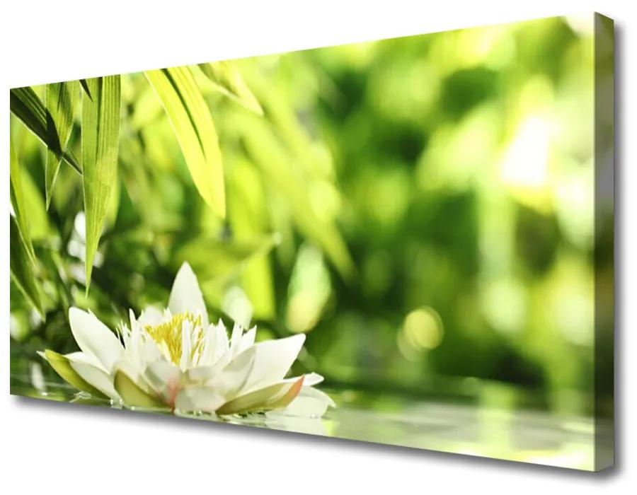 Obraz na plátně Květ Listy 125x50 cm