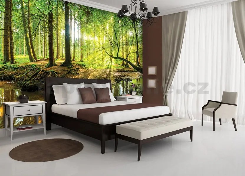 Vliesové fototapety, rozměr 416 cm x 254 cm, les a potok, IMPOL TRADE 10513 VEXXXL