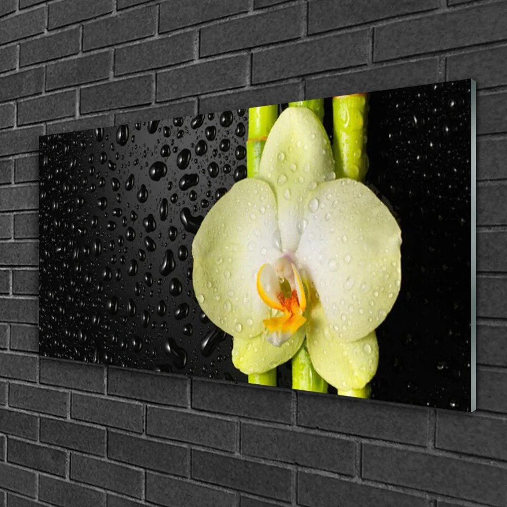 Obraz na skle Bambus Květ Orchidej 125x50 cm