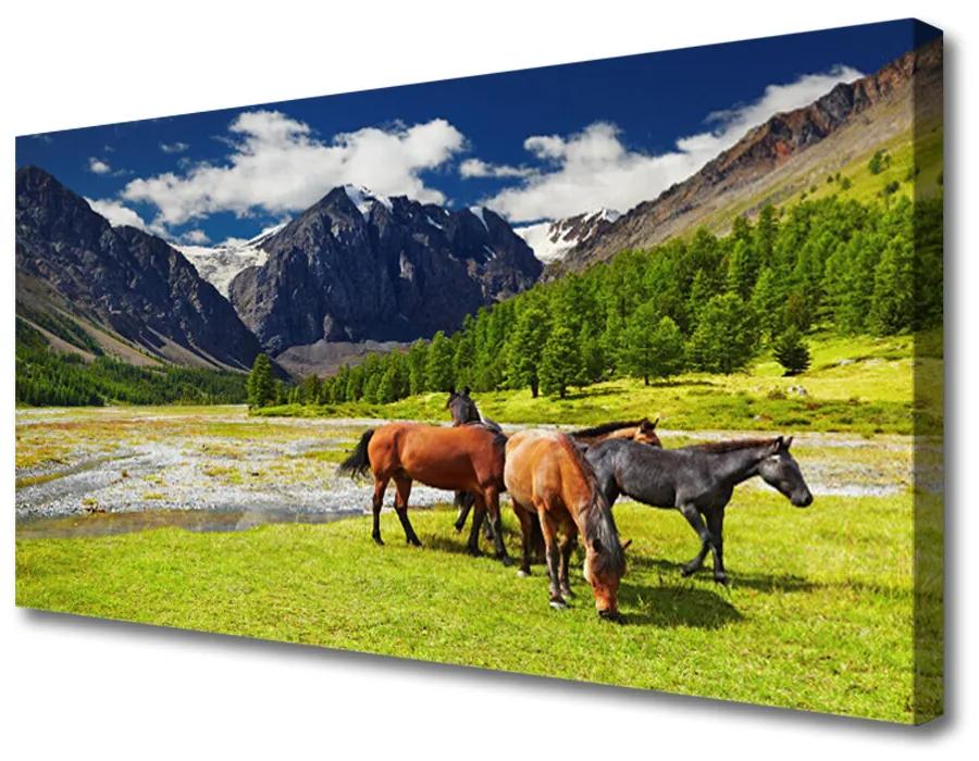 Obraz na plátně Hory Stromy Koně Zvířata 100x50cm