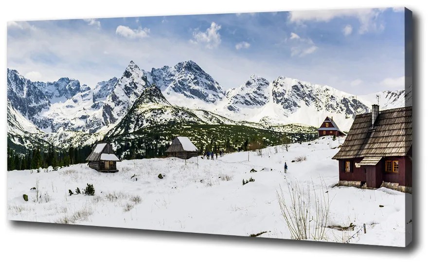 Wallmuralia Foto obraz canvas Západní Tatry 100x50