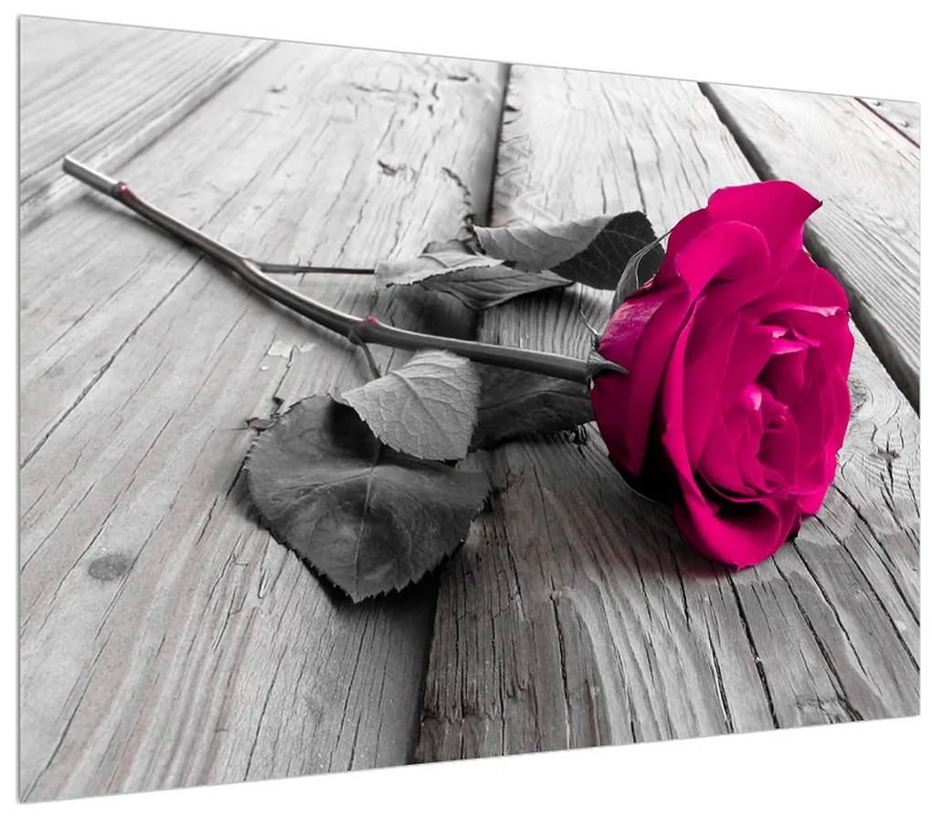 Obraz růžové růže (100x70 cm)