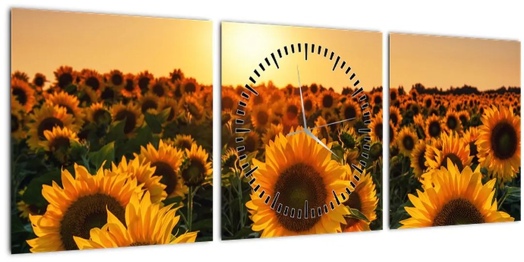 Obraz - Slunečnice (s hodinami) (90x30 cm)
