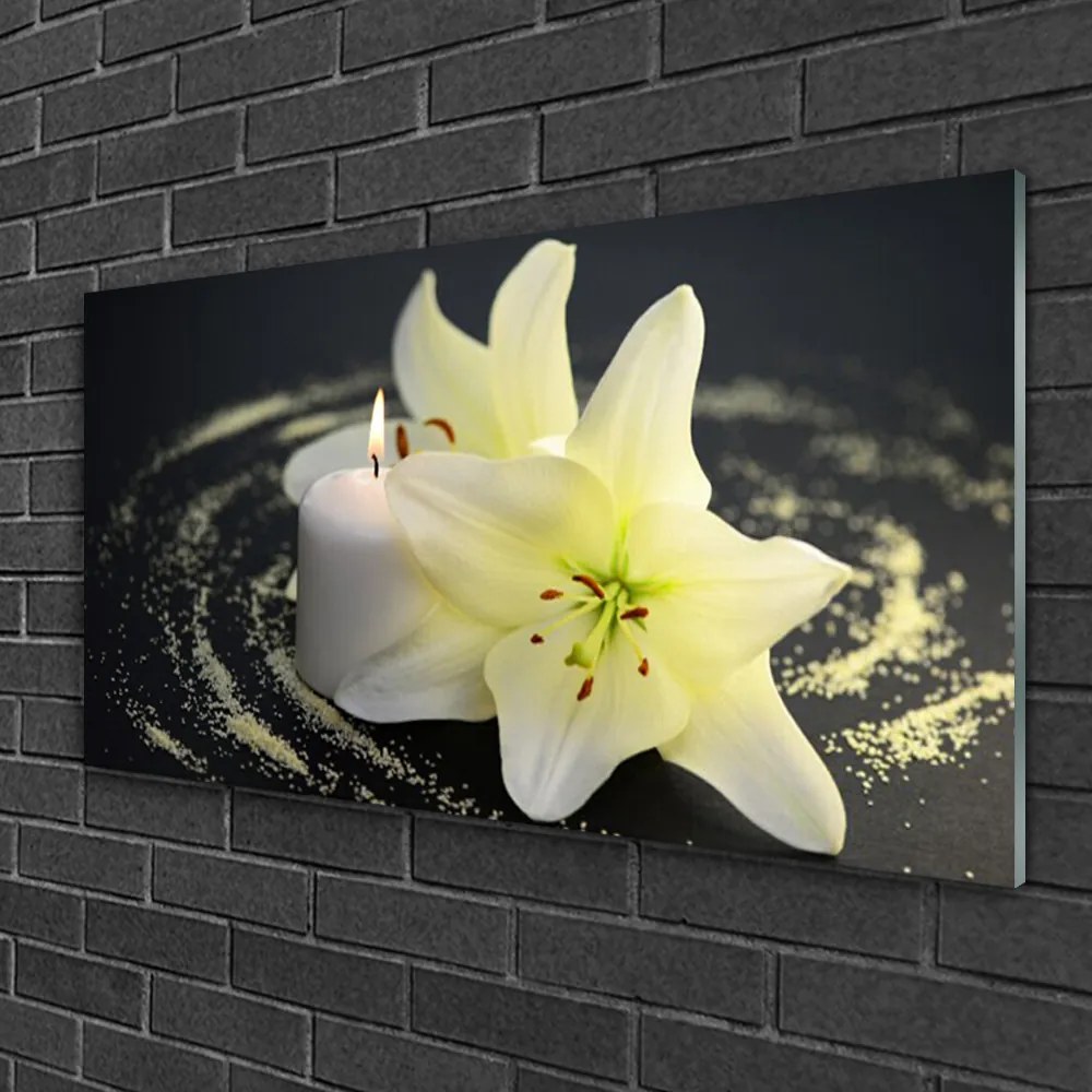 Obraz na skle Květ Rostlina Příroda 140x70 cm