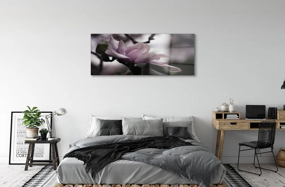 akrylový obraz Magnólie 120x60 cm