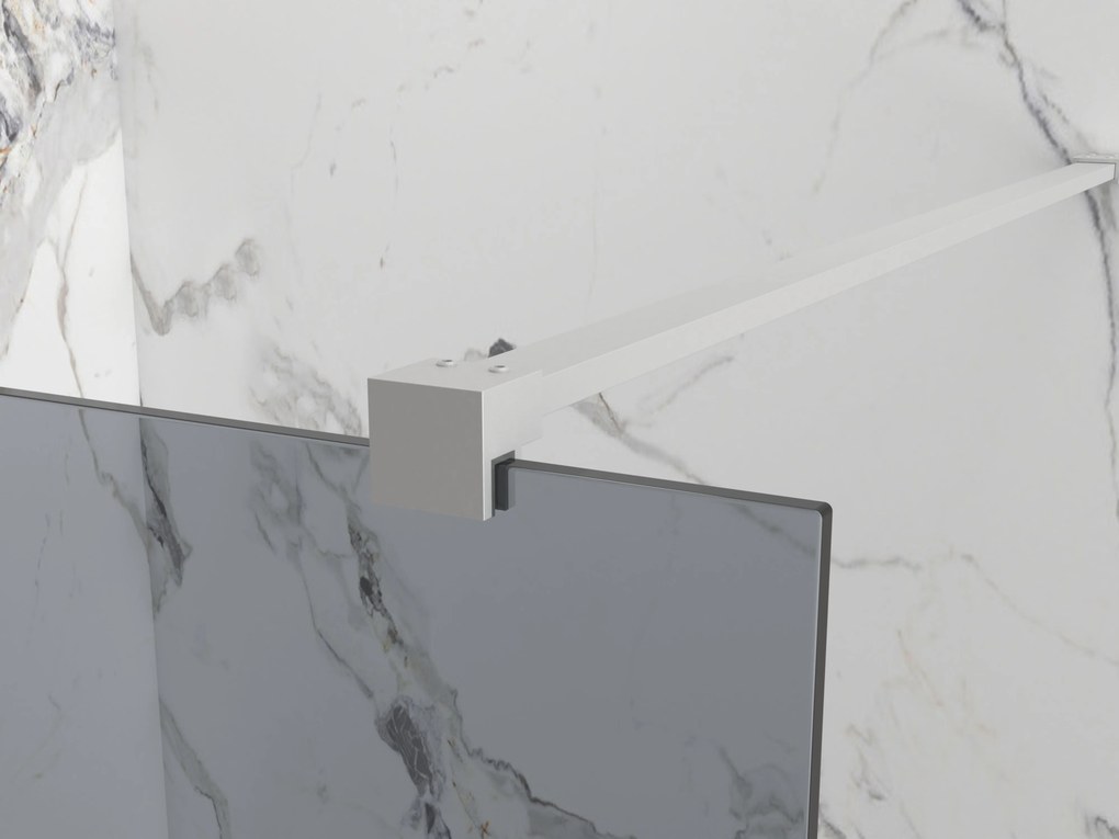 Erga Paris, sprchová zástěna Walk-In 60x200 cm, 8mm šedé sklo, broušená ocel, ERG-V02-PARIS-060x200-GR-BS