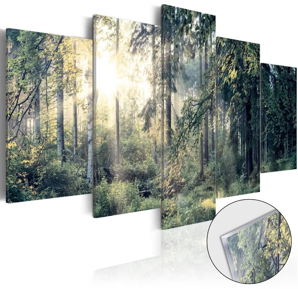 Obraz na skle Bimago - Fairytale Landscape 100x50 cm