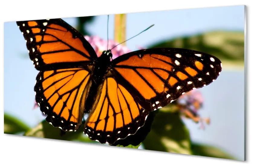Obraz na skle barevný motýl 125x50 cm