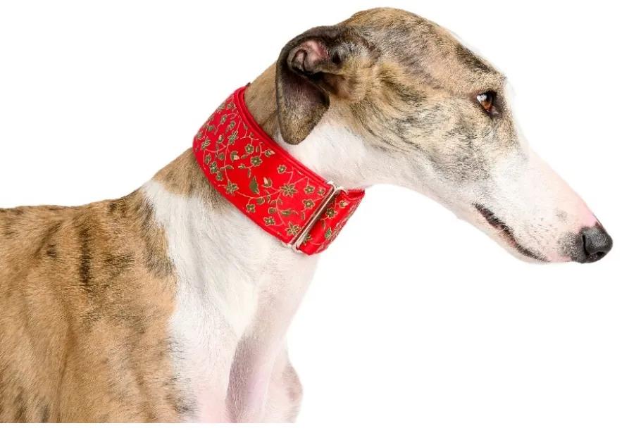 Obojek pro psa Grace Emily Meadow červený Provedení: Stříbrná kovová spona, Délka obojku: L - 40 - 56 cm, Šířka obojku: 2,5 cm