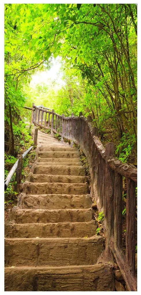 Fototapeta na dveře - Krásné schody v přírodě (95x205cm)