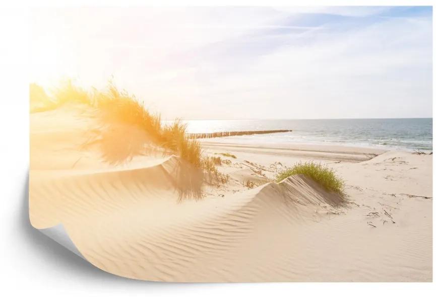 Fototapeta Pláž Mořské Duny Strukturální vinyl 152.5x104