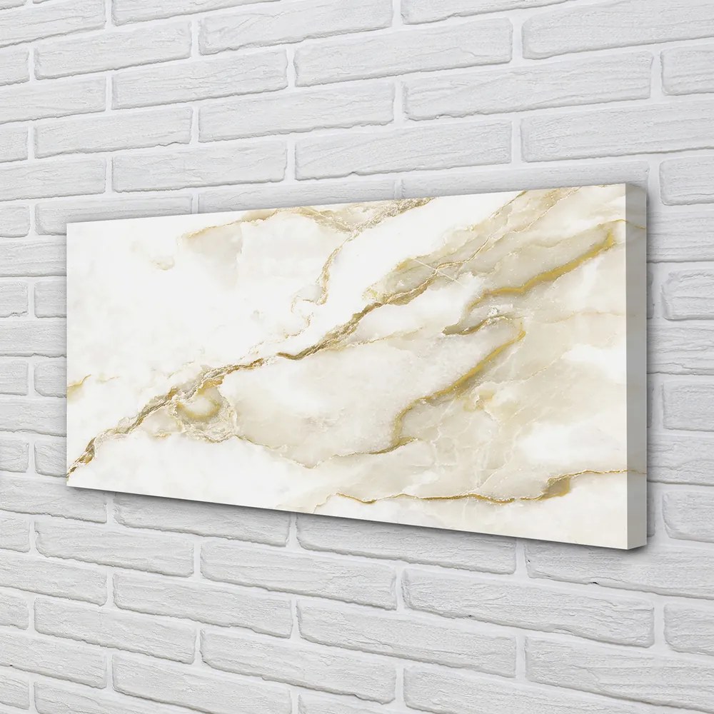 Obrazy na plátně Marble kamenná zeď 100x50 cm