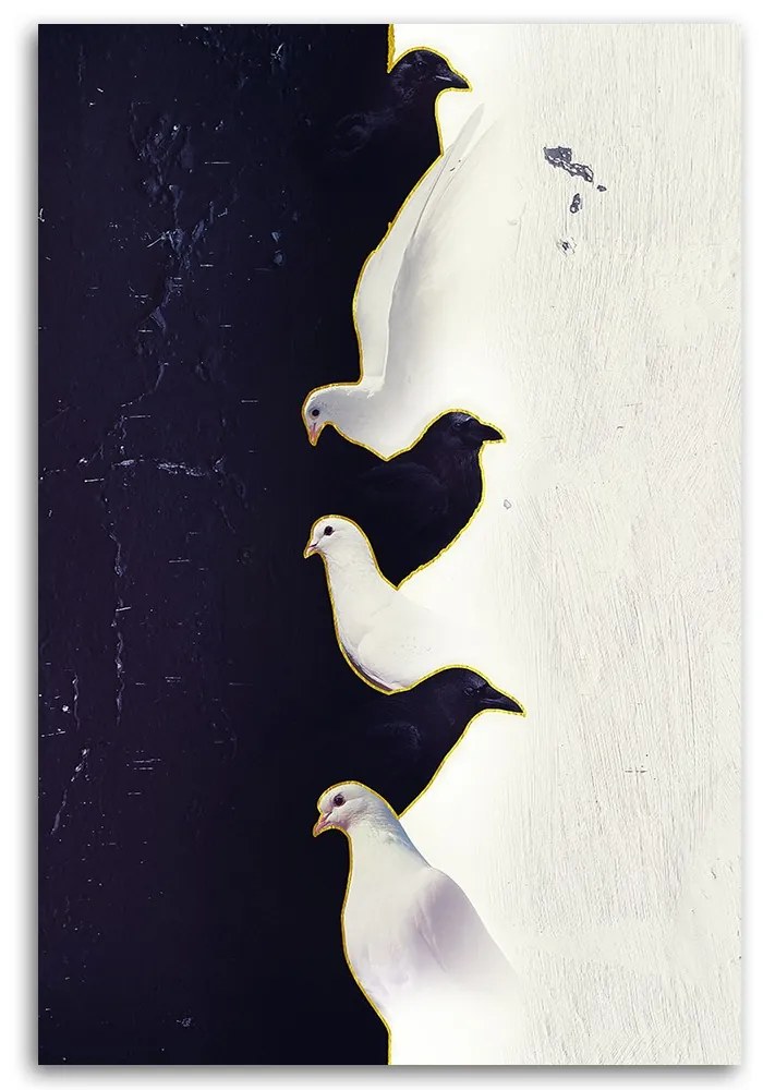 Gario Obraz na plátně Tři bílí holubi - Patryk Andrzejewski Rozměry: 40 x 60 cm