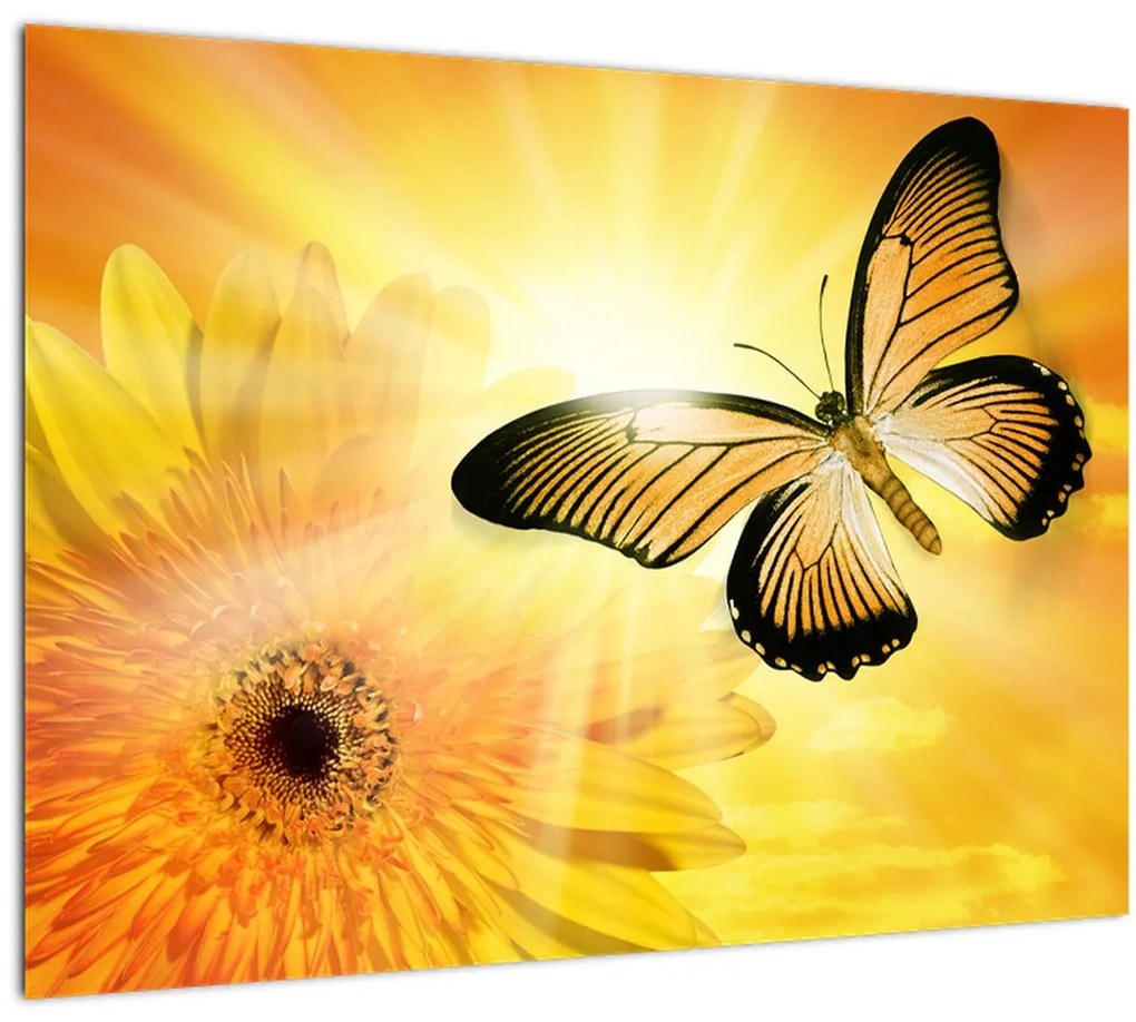 Obraz - Žlutý motýl s květem (70x50 cm)