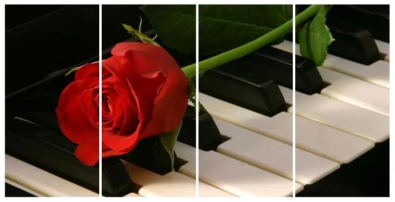 Obraz klavíru a růže (160x80 cm), 40 dalších rozměrů