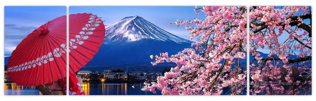 Obraz - Výhled na vrchol, Japonsko (170x50 cm)