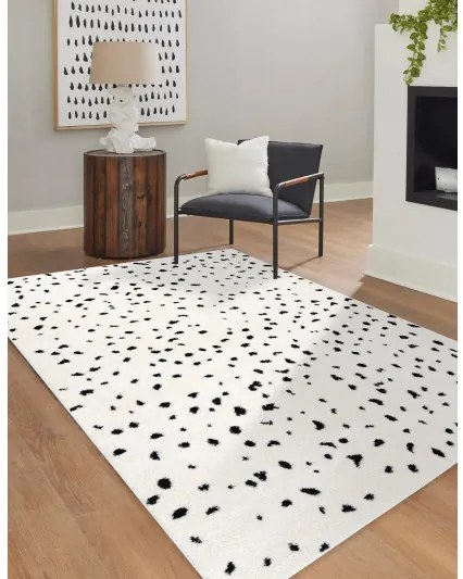 Dywany Łuszczów, Kusový koberec Mode 8508 cream/black, 120x170, bílá, chodba / předsíň