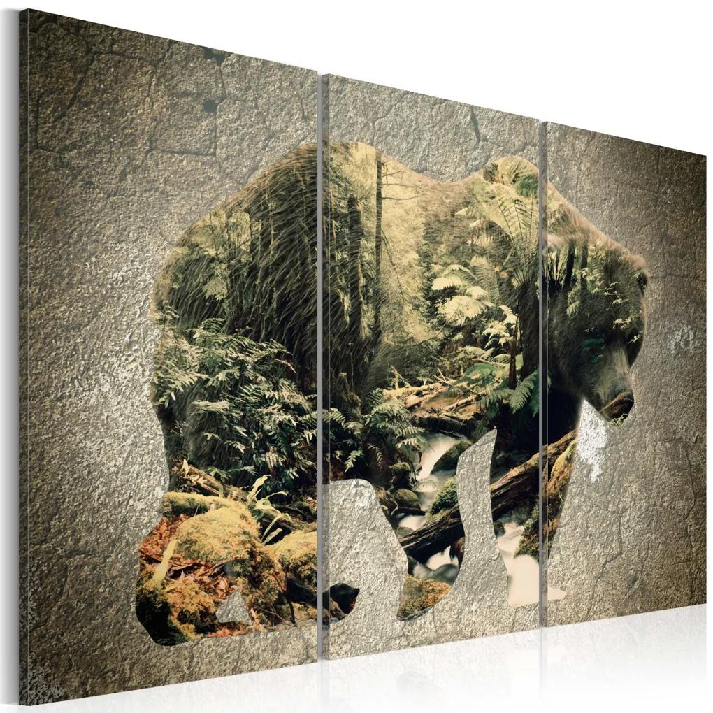 Obraz - The Bear in the Forest - 60x40