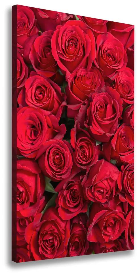 Wallmuralia Foto-obraz canvas do obýváku Červené růže 70x140 cm