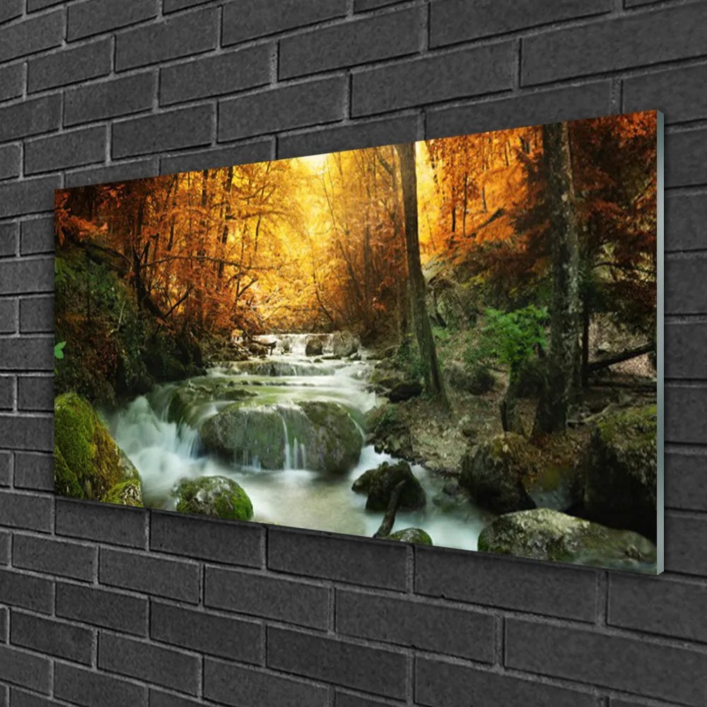 Obraz na skle Vodopád Příroda Les Podzim 140x70 cm