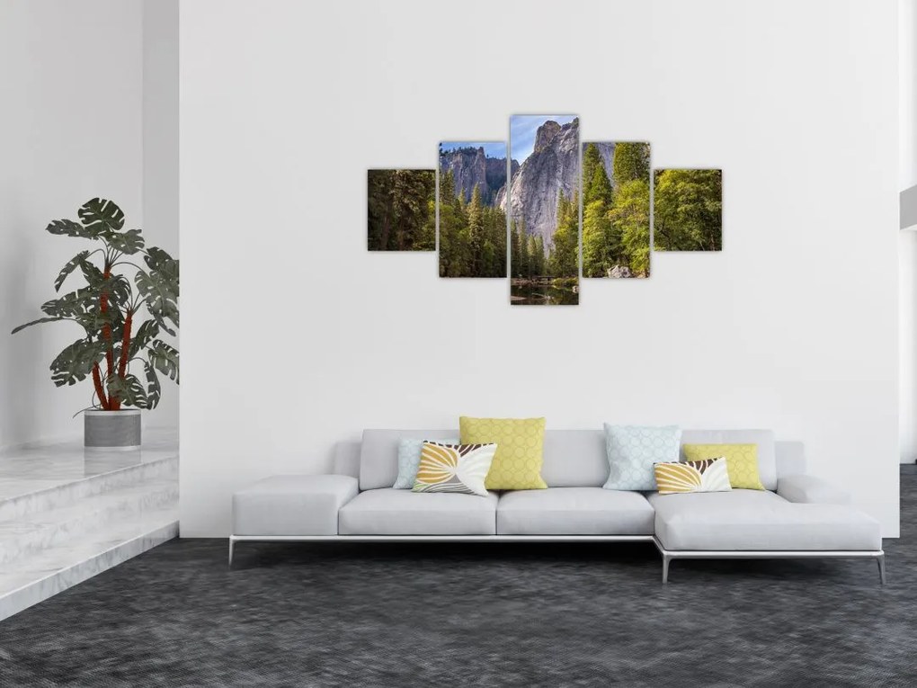 Obraz - Pod Yosemite skálou (125x70 cm)