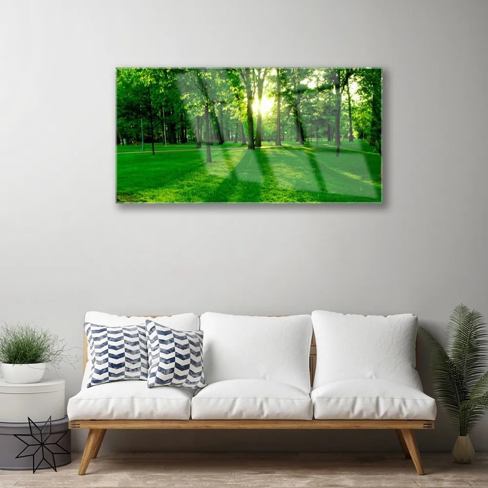 Obraz na skle Les Příroda 140x70 cm