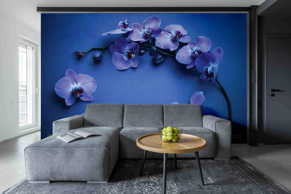 Malvis ® Tapeta Orchidej tmavá modrá Vel. (šířka x výška): 216 x 140 cm