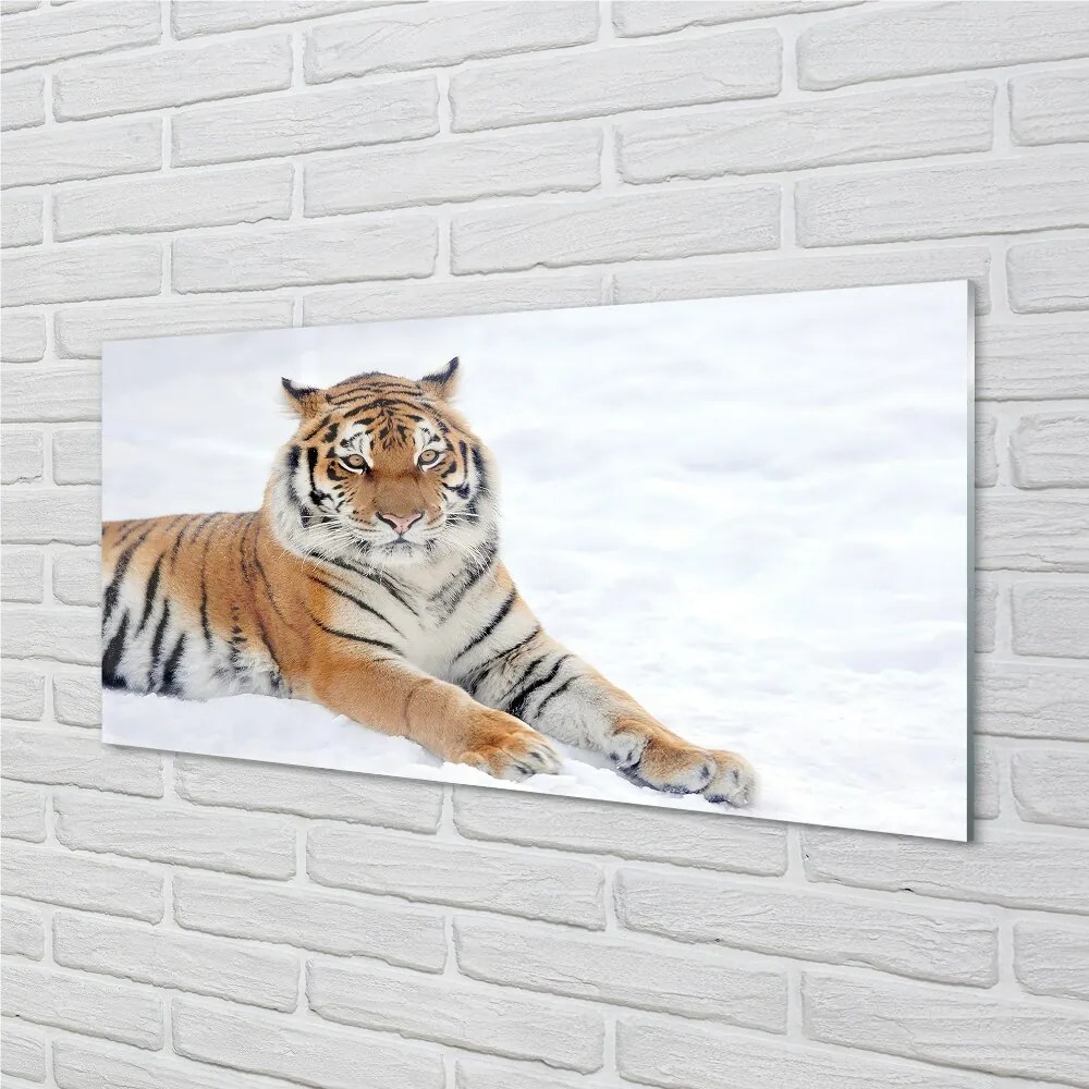 Obraz na skle Tiger winter 100x50 cm