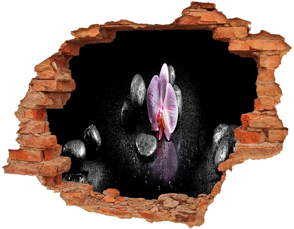 Wallmuralia Samolepící díra na stěnu nálepka Orchidej 90x70 cm