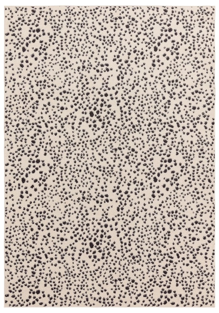 Tribeca Design Kusový koberec Jars Black Spotty Rozměry: 120x170 cm