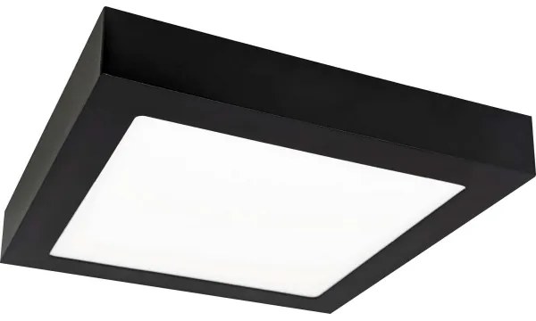 LED Stropní svítidlo FENIX LED/12W/230V 3800K 17 cm