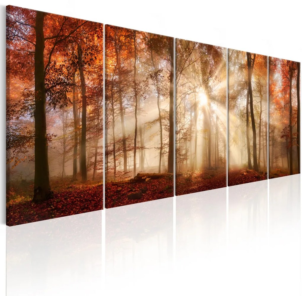 Murando DeLuxe Pětidílný obraz - zářící stromy Velikost: 225x90 cm
