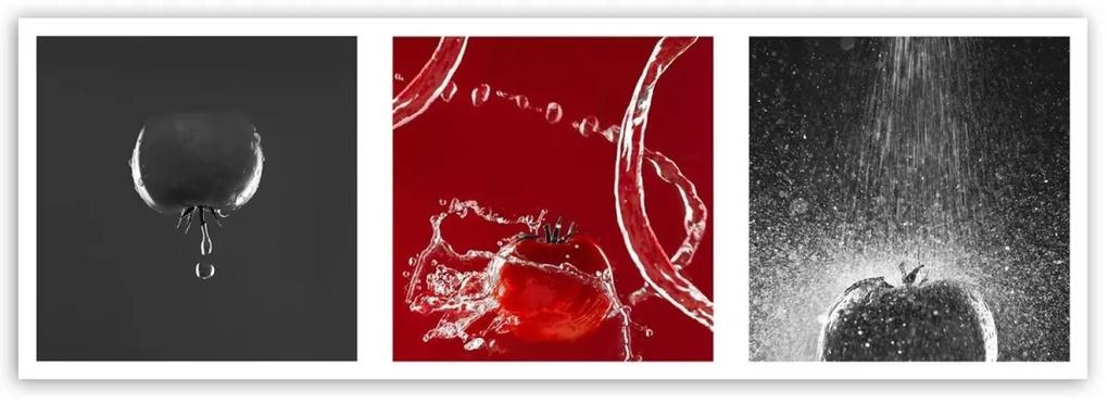 Obraz na plátně Sada rajčat ve vodě - 150x50 cm