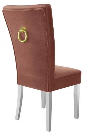 Čalouněná jídelní židle ST67 + klepadlo, Barva:: zlatý, Barva: černá, Potah: Magic Velvet 2258