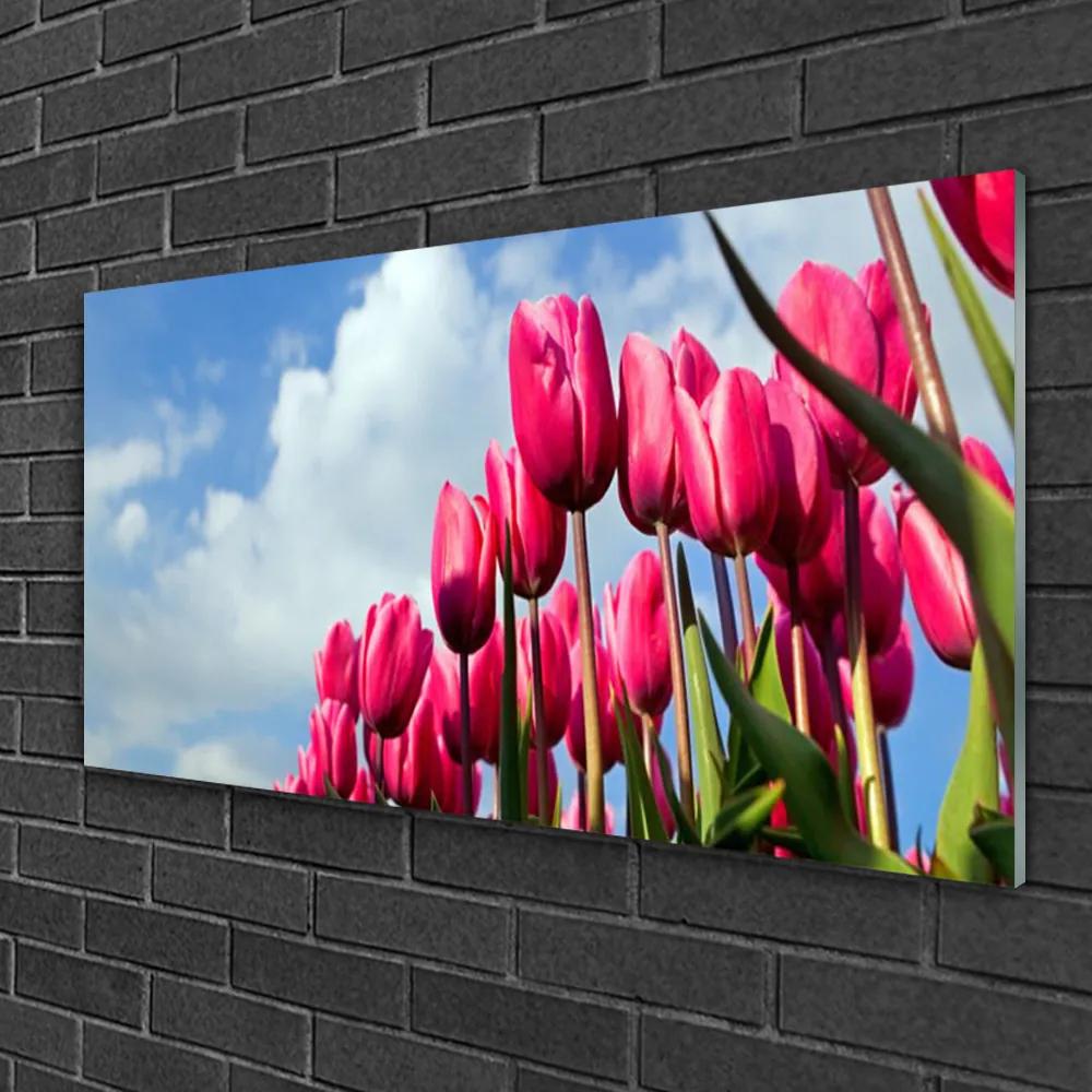 Obraz na skle Tulipán 140x70 cm