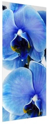 Samolepící fólie na dveře Modrá orchidej 95x205cm ND4757A_1GV