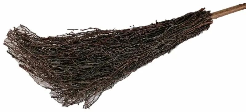 Birch Koště březové, dřevěná násada, 150 cm | Biano