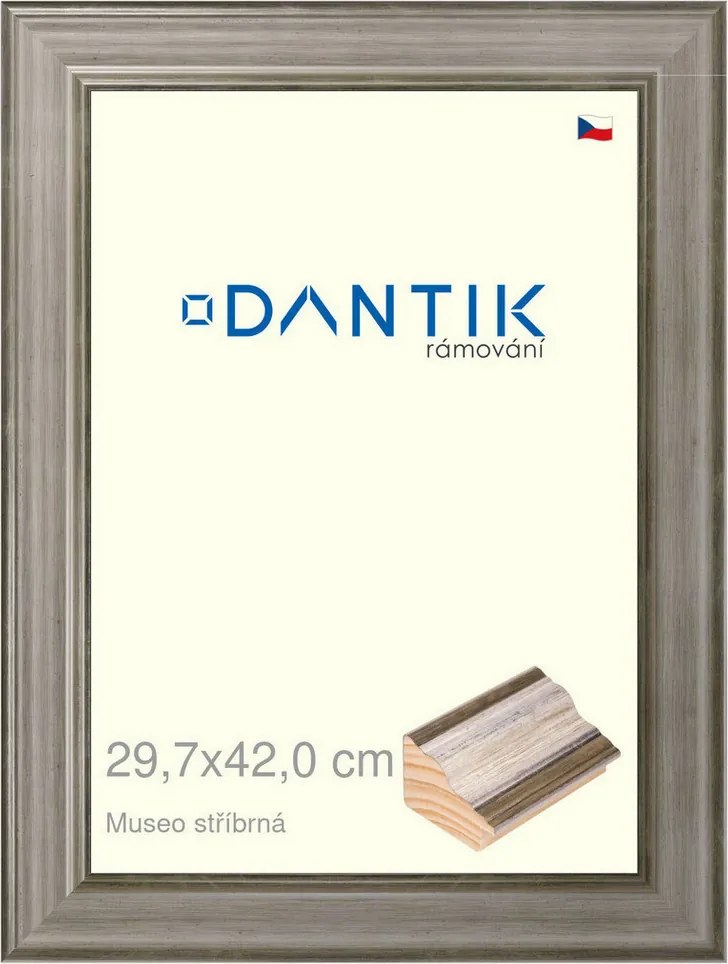 DANTIK rámeček 29,7x42 | Museo stříbrná (Plexi Čiré)