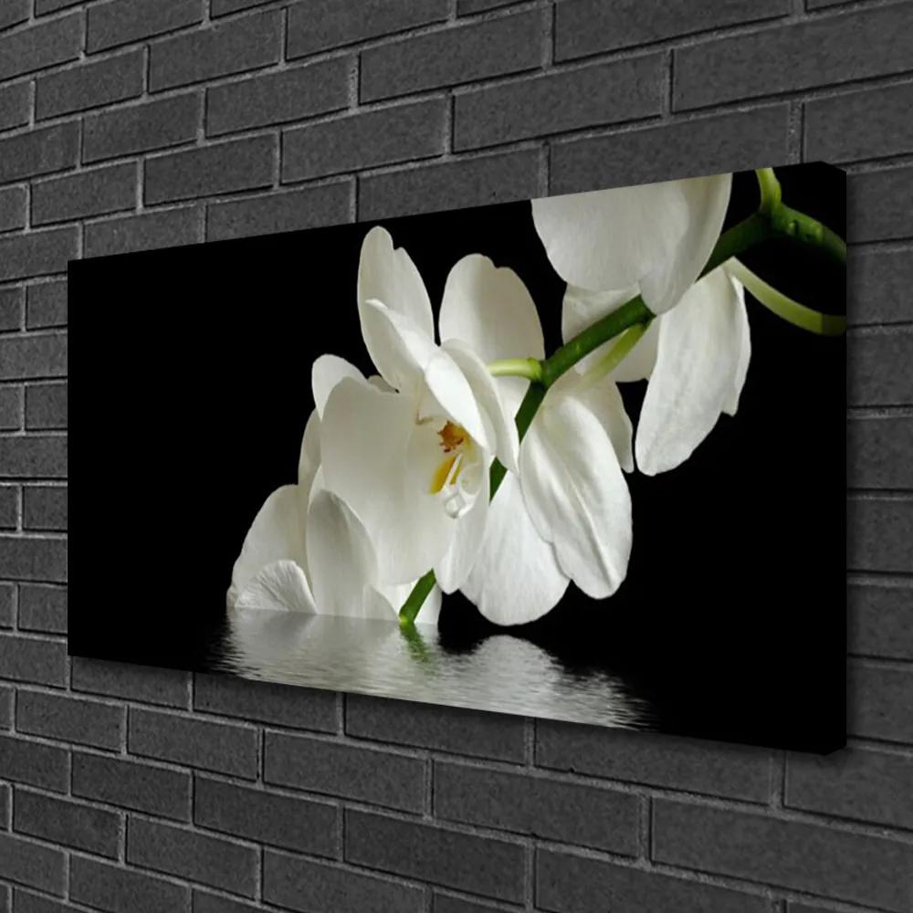 Obraz na plátně Orchidej ve Vodě Květiny 125x50 cm