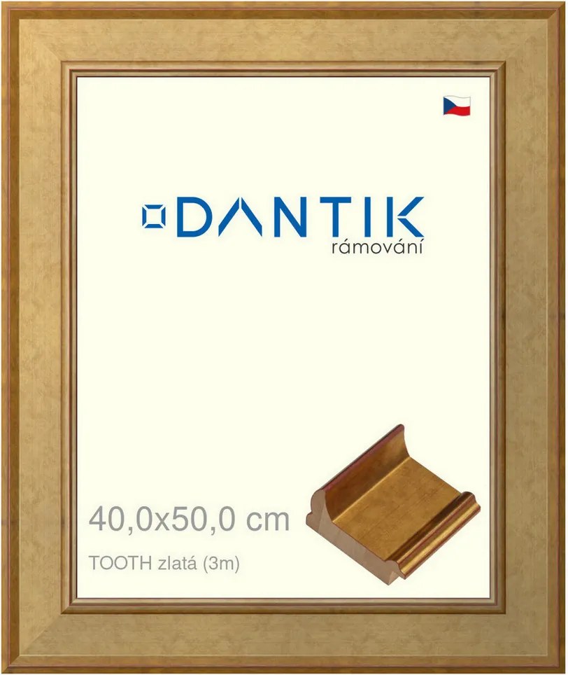 DANTIK rámeček 40x50 | TOOTH zlatá (Plexi Čiré)
