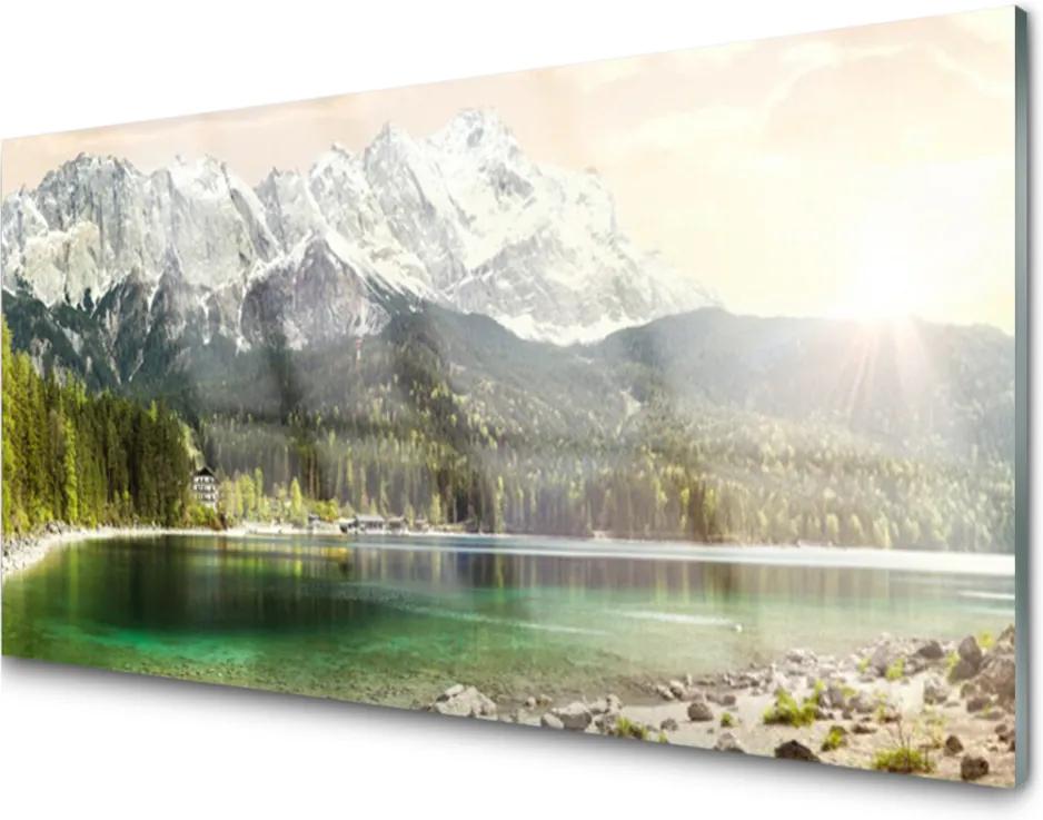 Skleněný obraz Hory Les Jezero Krajina