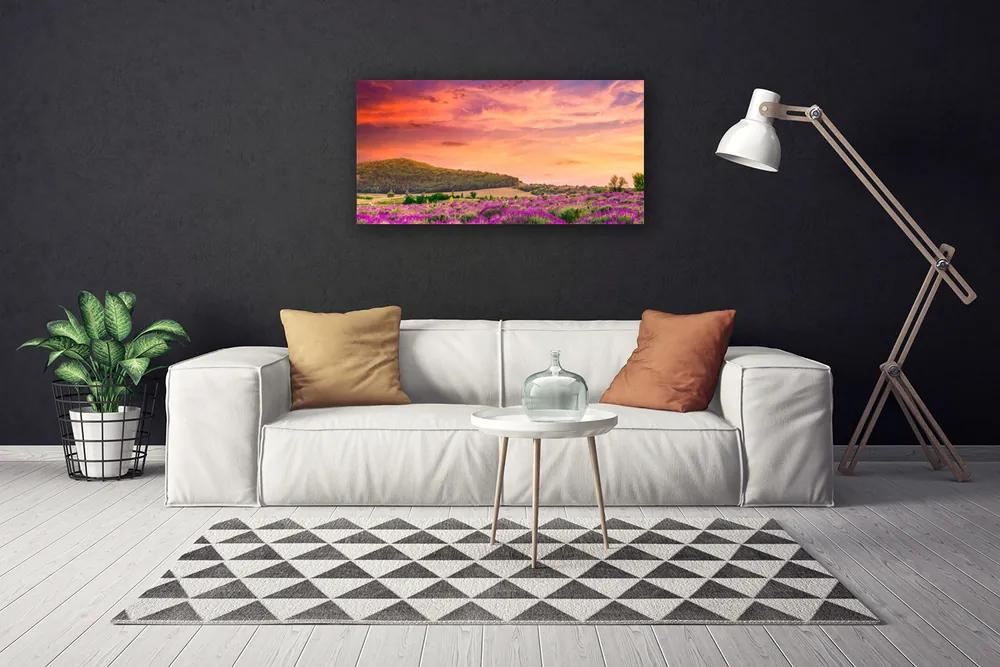 Obraz na plátně Louka Květiny Krajina 120x60 cm