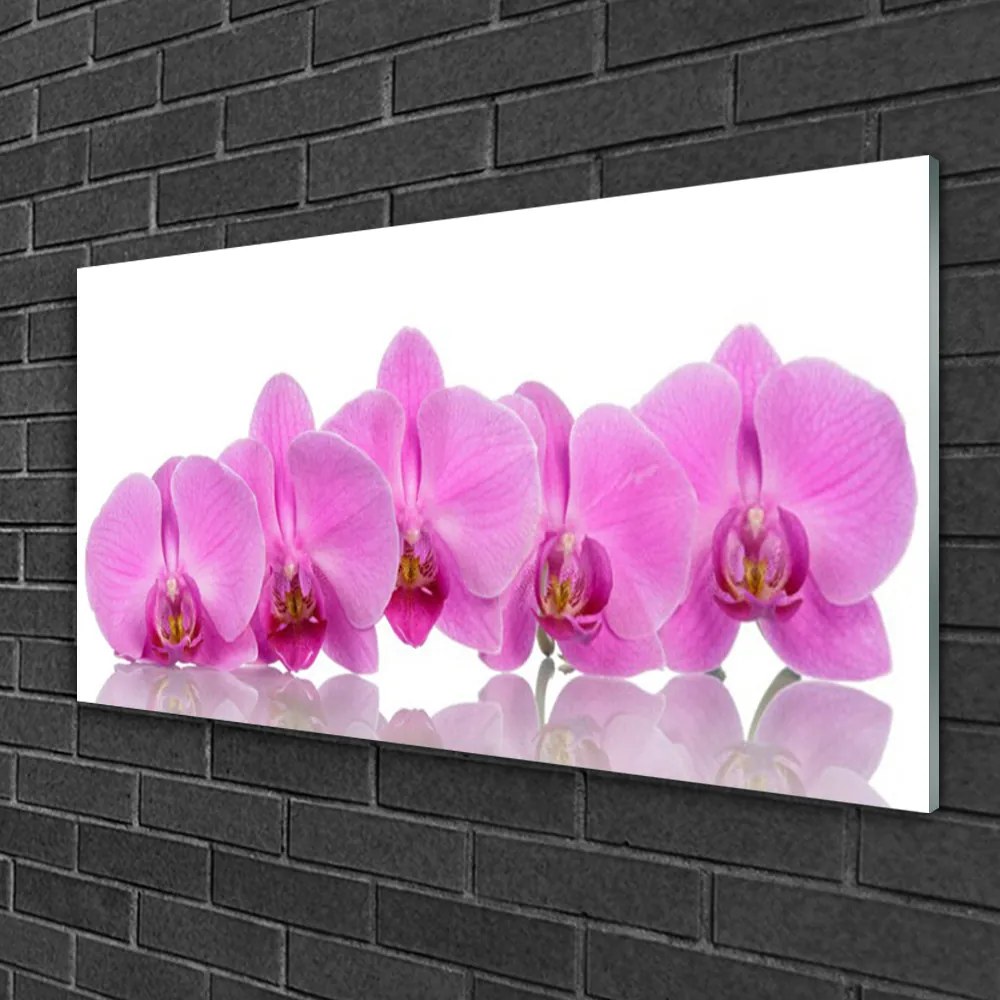 Obraz na skle Růžová Orchidej Květiny 100x50 cm