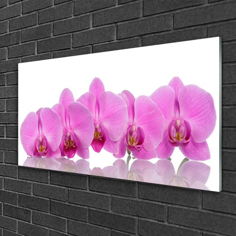 Obraz na skle Růžová Orchidej Květiny 120x60 cm