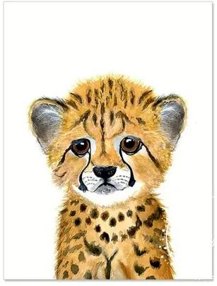 Obraz s motivem malovaná zvířecí mláďata Motiv: TX2078 gepard, Rozměry (cm): 15x20 cm