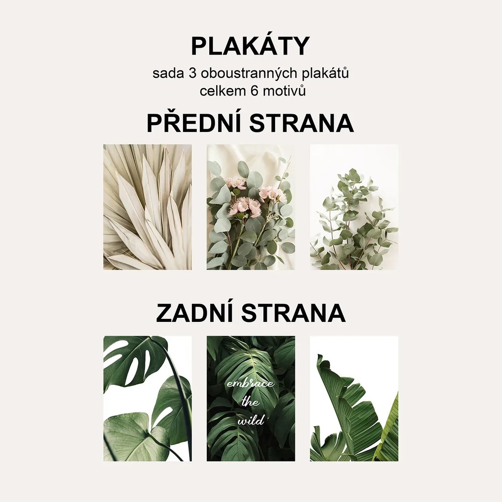 Oboustranná Sada Plakátů Botanika | 3 x 30 x 42 cm | DP3351483