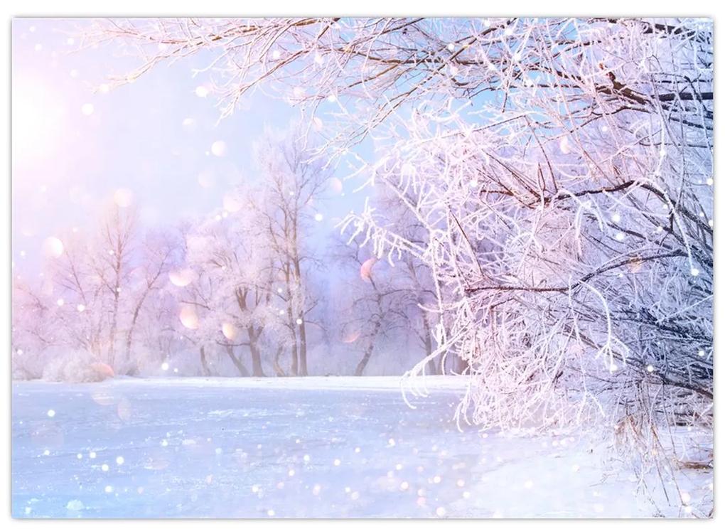 Skleněný obraz - Mrazivá zima (70x50 cm)