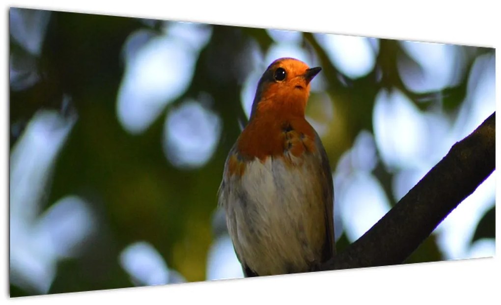 Obraz ptáka na větvi (100x40cm)