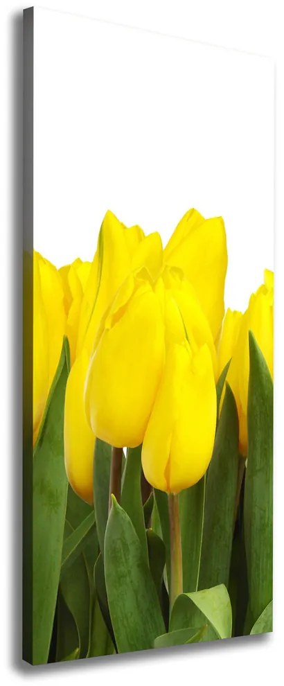 Wallmuralia Foto obraz na plátně Žluté tulipány 50x125 cm