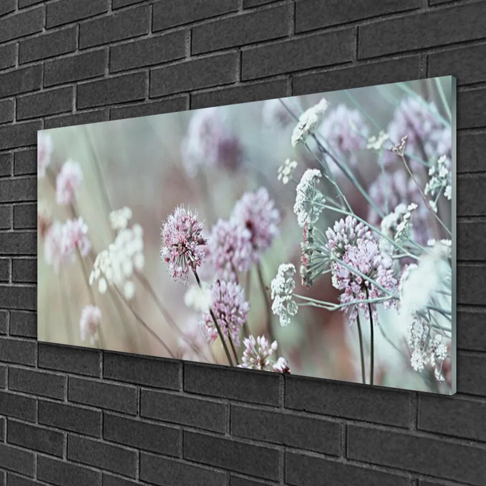 Obraz na skle Polní Květiny Louka Příroda 120x60 cm